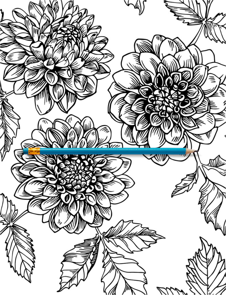 Fanciful Florals Flower Doodle Coloring Book For Adults - Paget Blue